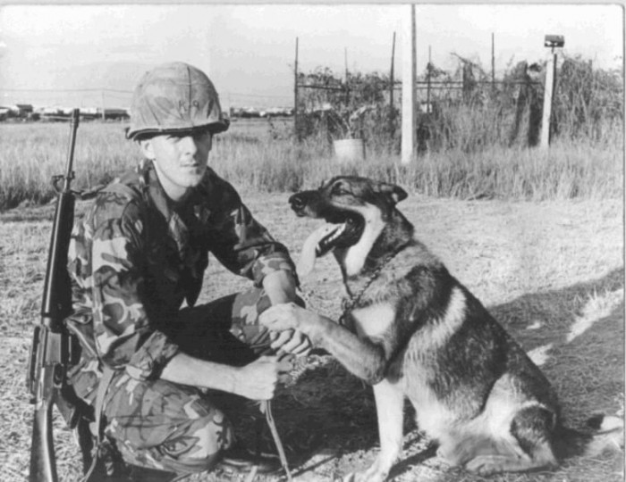 Los K9, perros en las guerras: la película - PerrosdeBusqueda