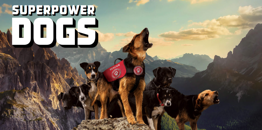 Superpower Dogs, la película sobre los super perros - PerrosdeBusqueda