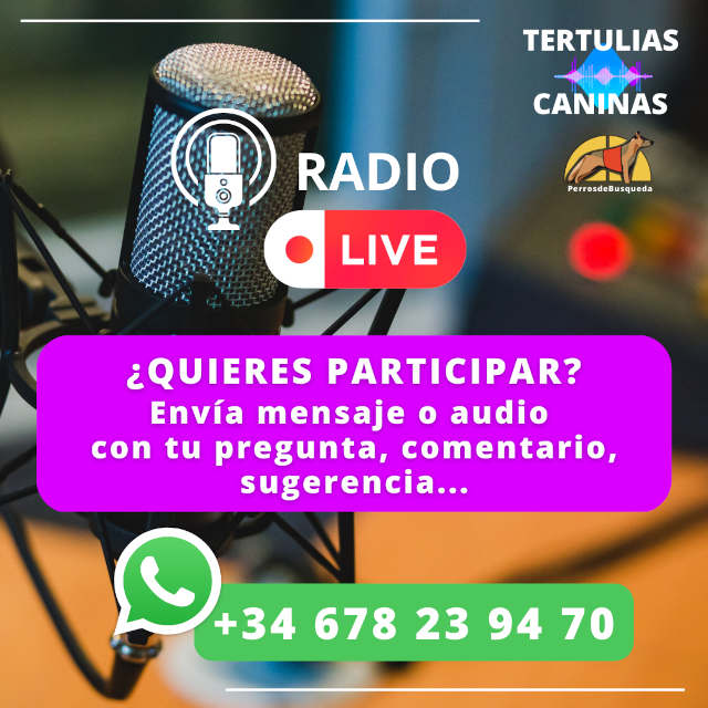 La radio de los perros que buscan - PerrosdeBusqueda