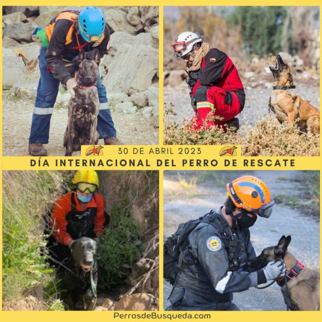 Día Internacional del Perro de Rescate 2023 - PerrosdeBusqueda
